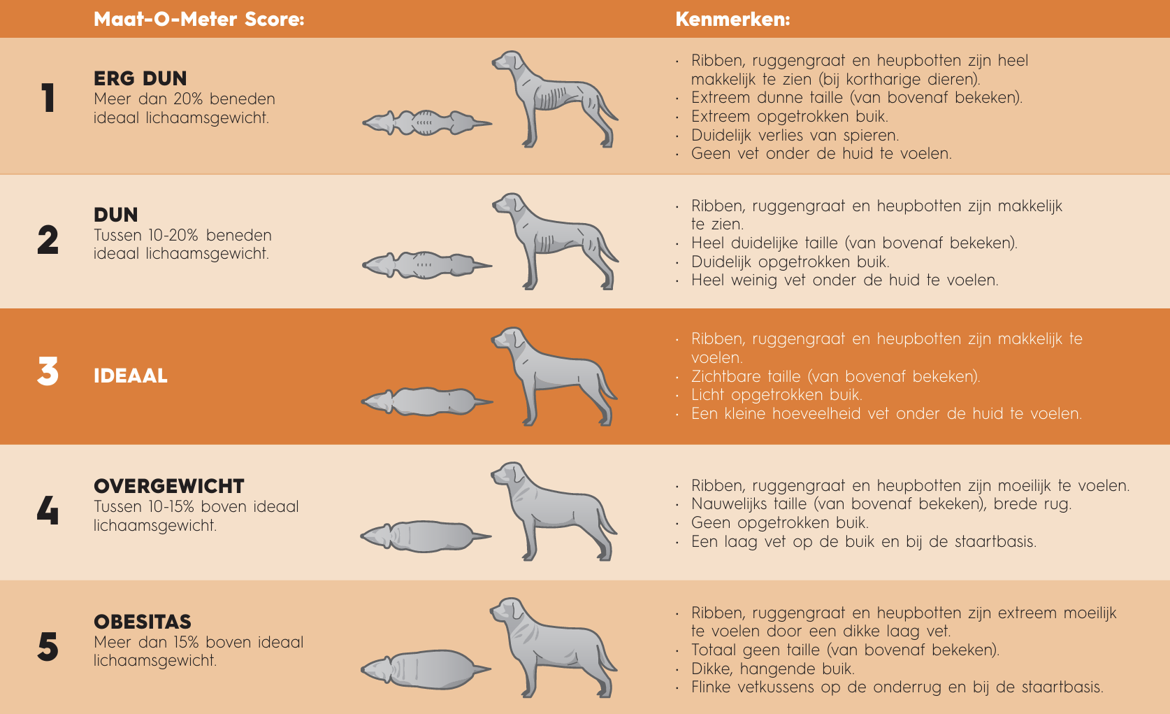 Overgewicht bij de hond | Koninklijke Hondenbescherming